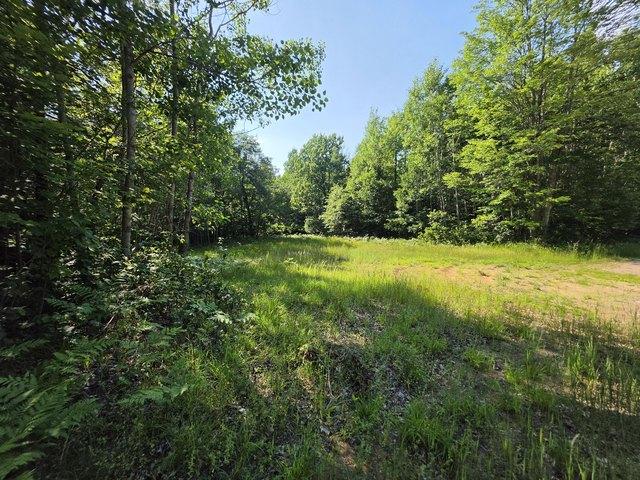 1.55 Acres Oak Ridge Rd, Amberg, WI 54102