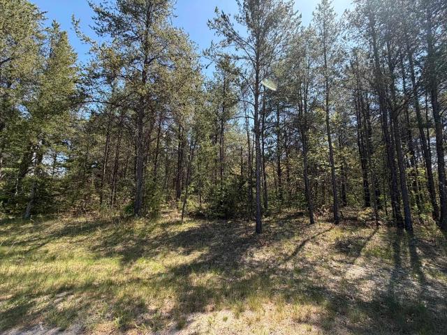 1.52 Acres Queens Way