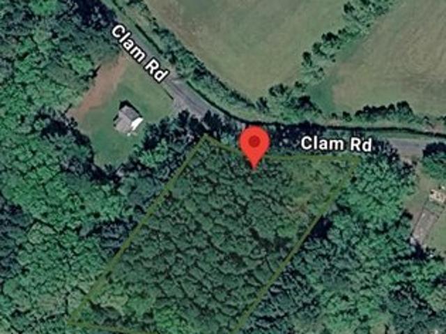 1 5AC Clam Rd, Bloxom, VA 23308