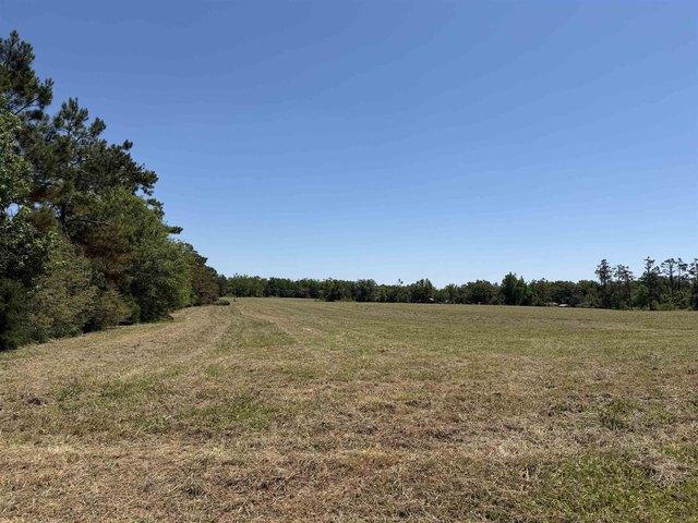 1 69 Hwy, Adamsville, TN 38310