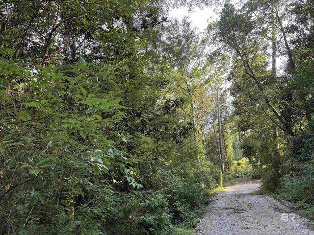 1.62 Acres Sweet Magnolia Ln Lot 17, Magnolia Springs, AL 36555
