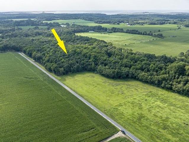1 6 Hurst Store Rd Lot 1 6, Greenbush, VA 23357