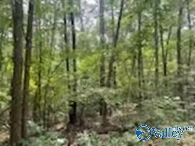 1.78 AC COUNTY ROAD 427, FORT PAYNE, AL 35967