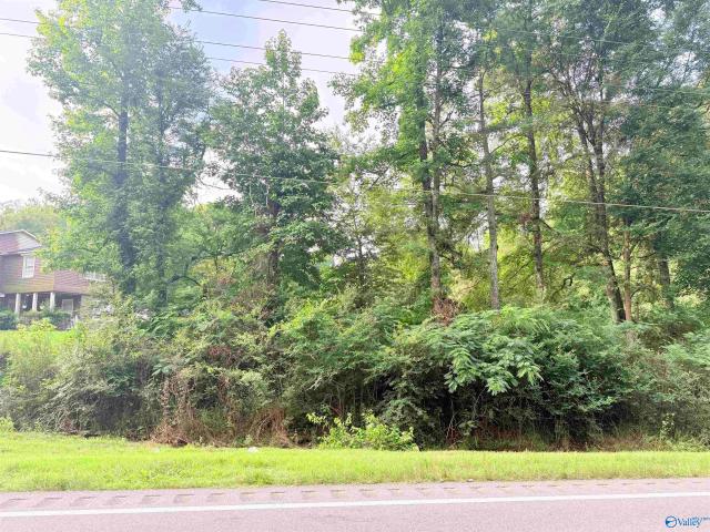 1.7 acres Al Hwy 69