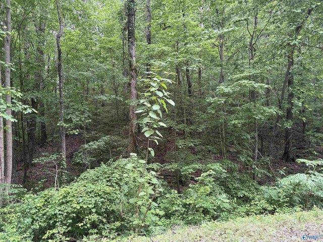 1 84AC Wilhite Rd, Falkville, AL 35622