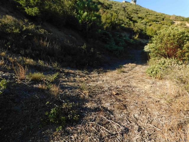 1.90 ac Mountain View Dr, Julian, CA 92036 | MLS #260010