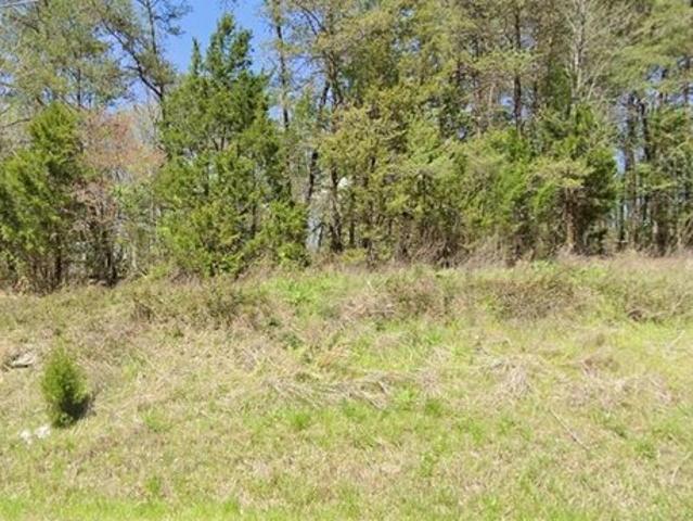 1.91 Ac Brier Creek Rd, Mammoth Cave, KY 42259