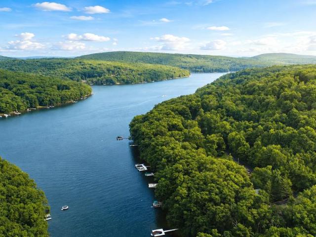 1.92 +/ Acres Shingle Camp Terrace Lane