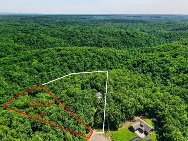 1 9AC Point Pl, Monterey, TN 38574