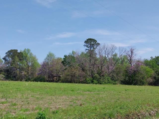 1C Davis Lane