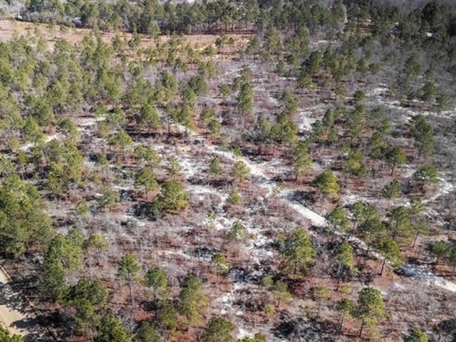 1C Spring Creek Rd, Lugoff, SC 29078