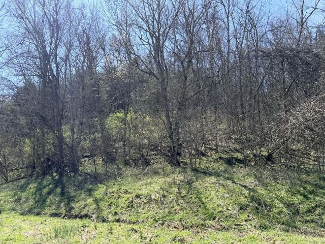 1A Crooked Creek Road