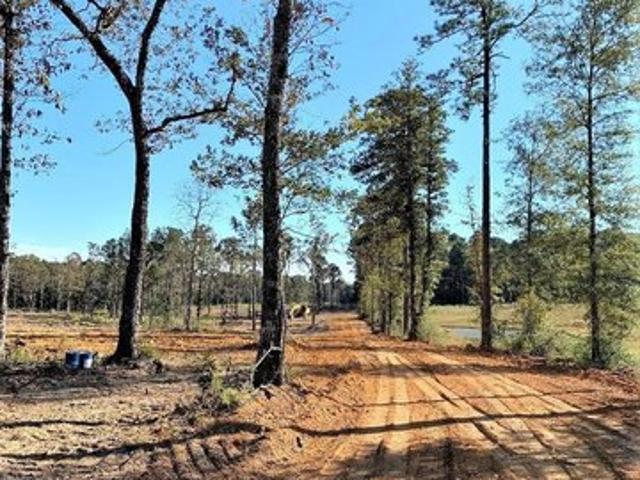 1A LA Highway 63, Clinton, LA 70722