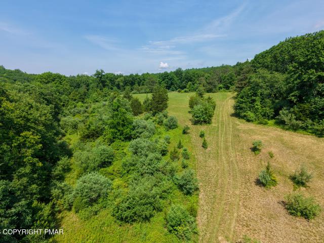1A Sherwood Forest Road