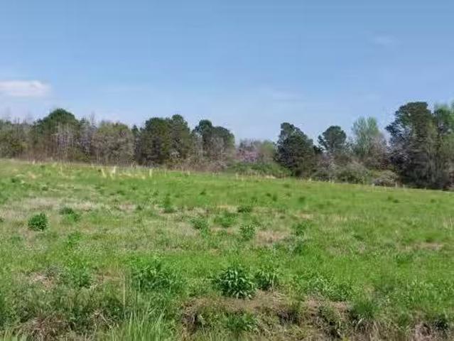 1B Davis Ln, Mullins, SC 29574 MLS 2508234