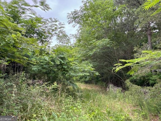 1B Davis Rd, Eastanollee, GA 30538 MLS 10302621