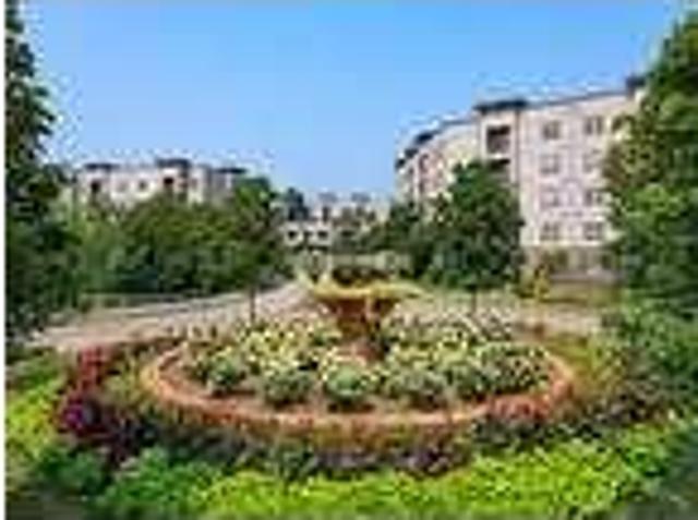 1BD 1BA Available Now $1668/month