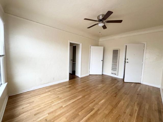 1bed large and bright