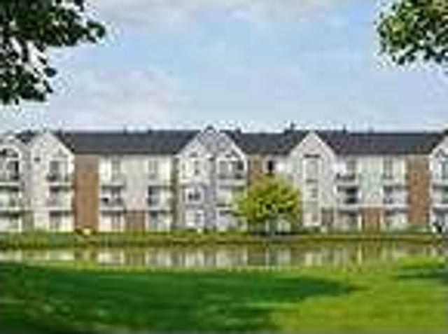 1Bed 1Bath $1145/mo