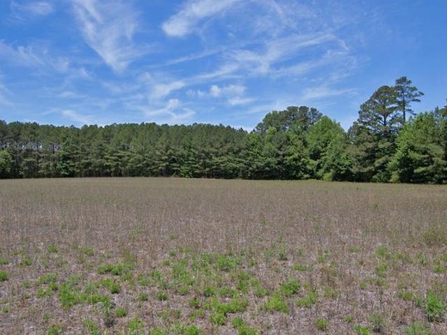 1G F Ball Rd, Louisburg, NC 27549
