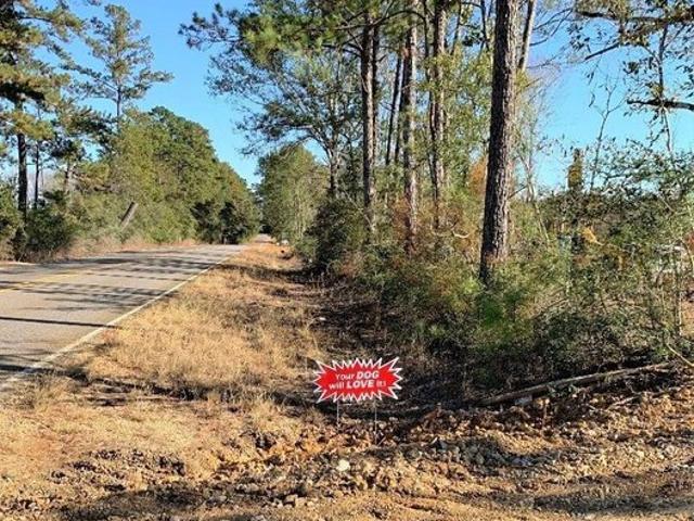1E LA Highway 63, Clinton, LA 70722