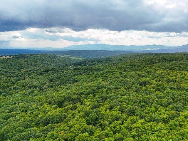 1WTP Roney Rd, Preston Hollow, NY 12469