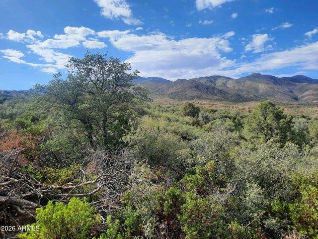 1XX N Chicory Ln, Globe, AZ 85501