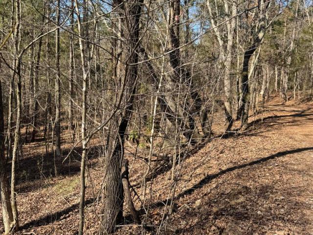 23.11 Ac John Wesley Trail