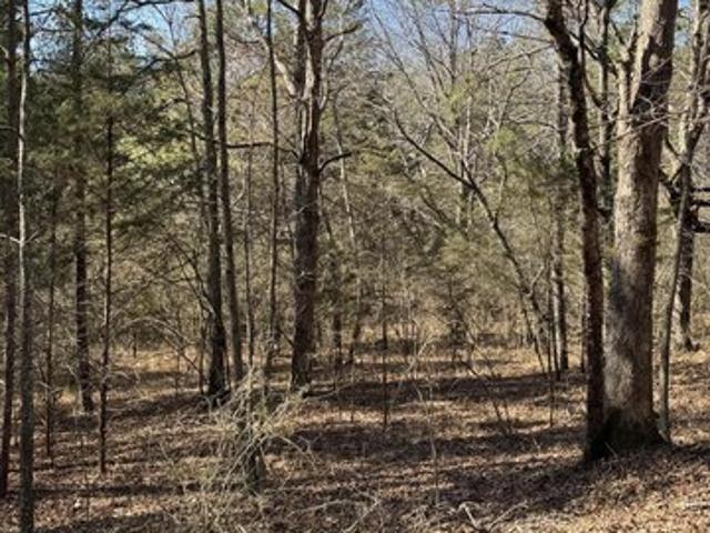 23.11 Ac John Wesley Trl, Harrison, TN 37341