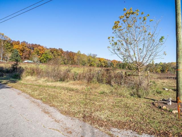 23.19 ac Webbs Camp Road
