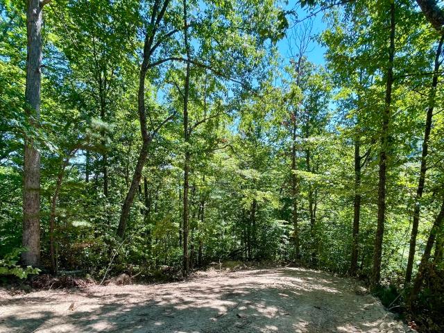 23 & 24 Red Maple Lane