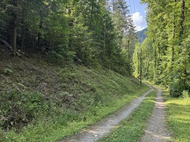 23 Walden Ridge Rd, Sevierville, TN 37862