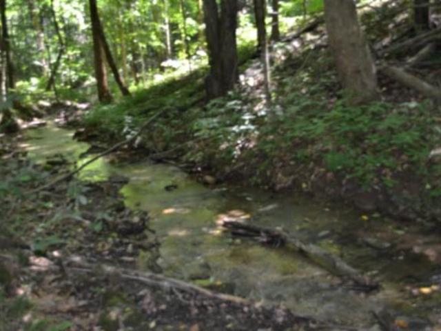 23+/ ac Pea Ridge Fire Tower Rd