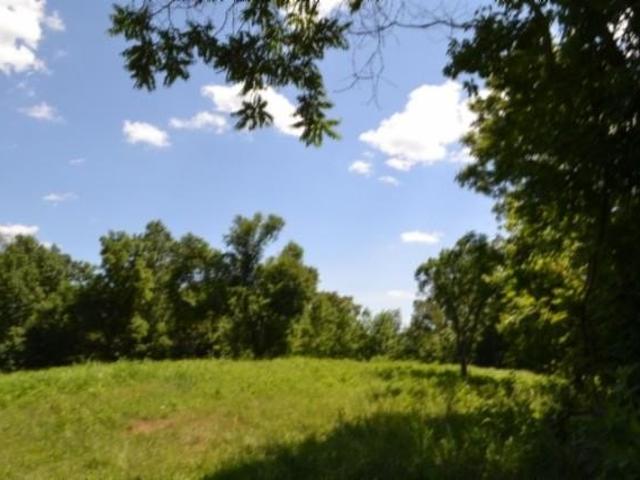 23 Ac Pea Ridge Fire Tower Rd, Celina, TN 38551