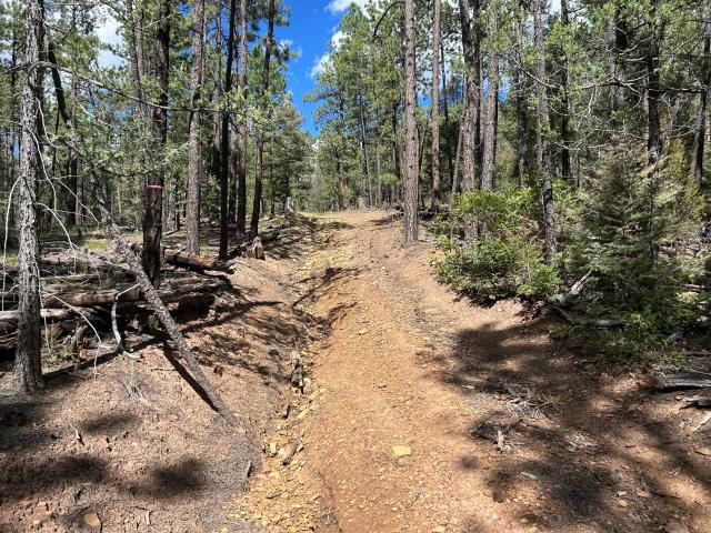 23 Acre Lot