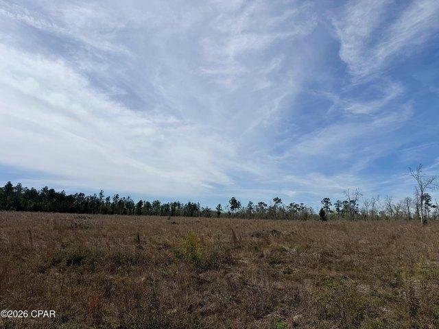 23 Acres Davenport Rd, Marianna, FL 32448