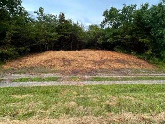 23 acres minor hill rd