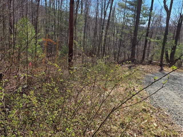 23 Altamont Way