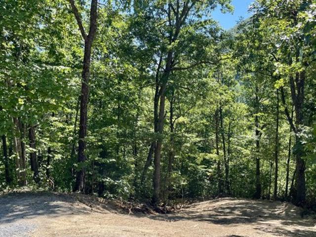23 and 24 Red Maple Ln, Sevierville, TN 37876