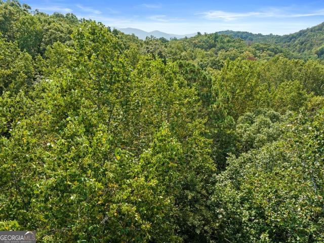 23 B Double Knob, Ellijay, GA 30540 | MLS #10614