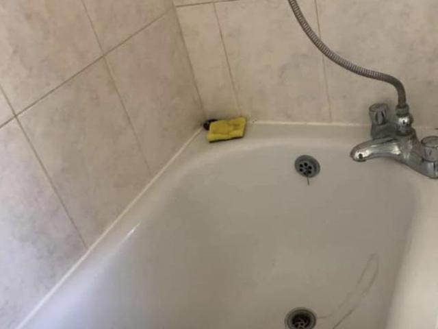 2/3 bed flat walking distance from ucl