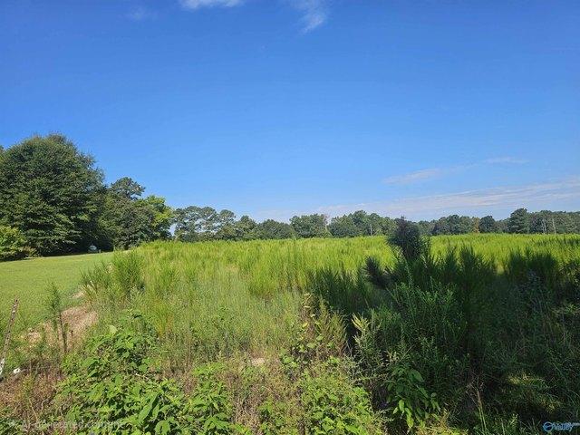 23 Bridge Rd, Arab, AL 35016