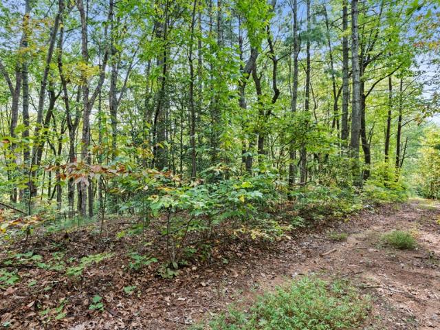 23 C Double Knob, Ellijay, GA 30540 | MLS #419165