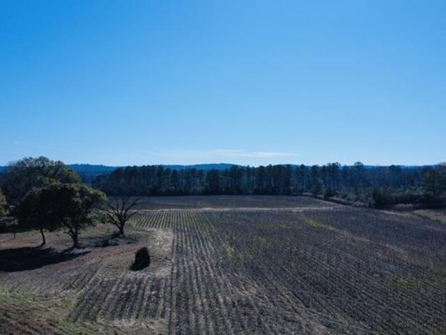 23 County Road 223, New Brockton, AL 36351