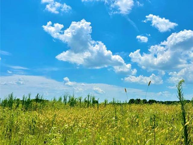 23 County Rd, Saltillo, TX 75478 | MLS #21014