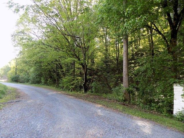 23 Driftwood Rd, Cosby, TN 37722
