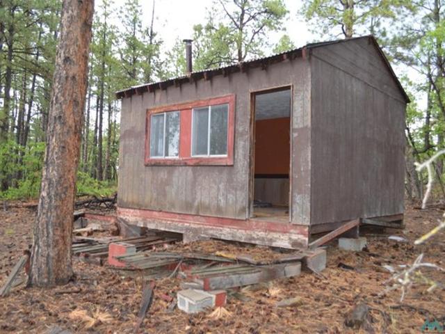 23 Forest # 157, McGaffey, NM 87321