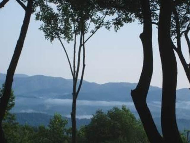 23 Greystone Trce, Ellijay, GA 30536 | MLS #5579