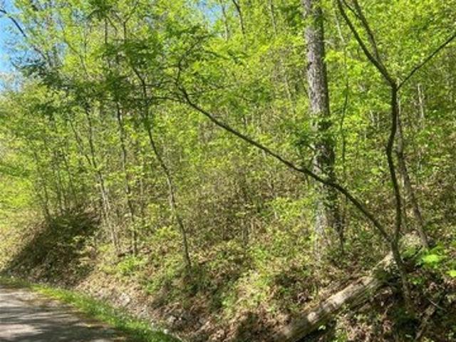 23 Green Drake Ln Lot 23, Cullowhee, NC 28723