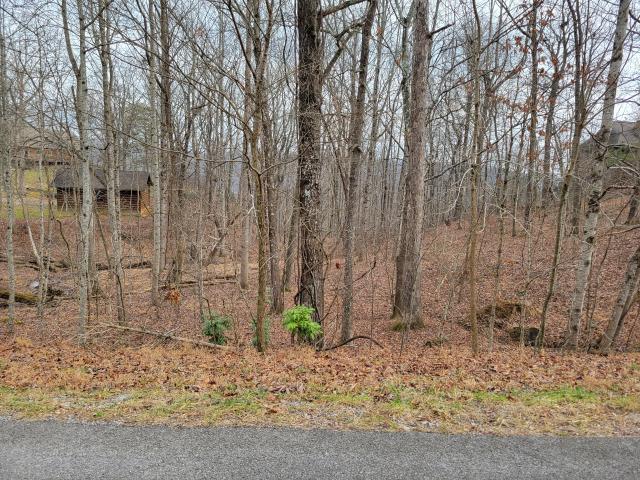 23 Laurel Lake Drive